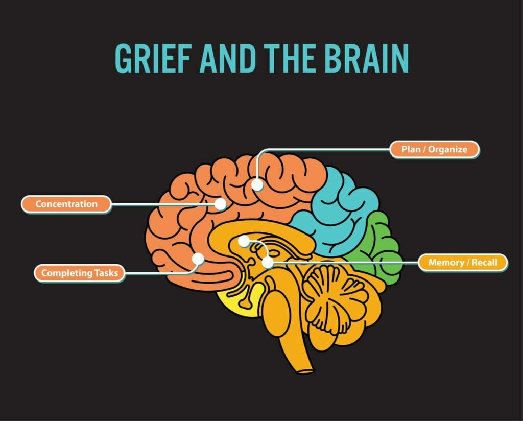 How Grief Affects Your Brain - Bio-One Boston